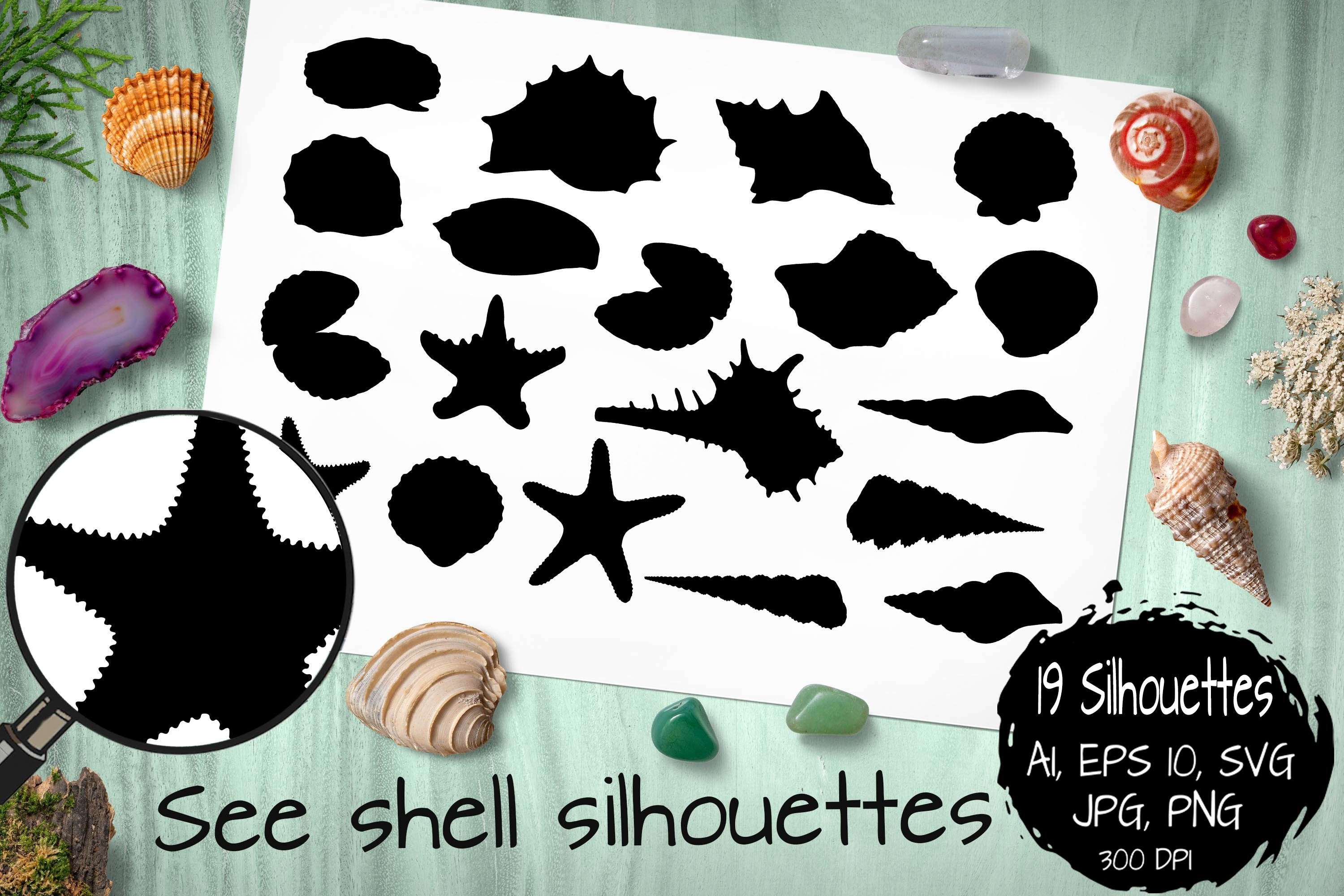 Ocean sea shell silhouettes collection. 19 SVG, PNG, Ai, EPS