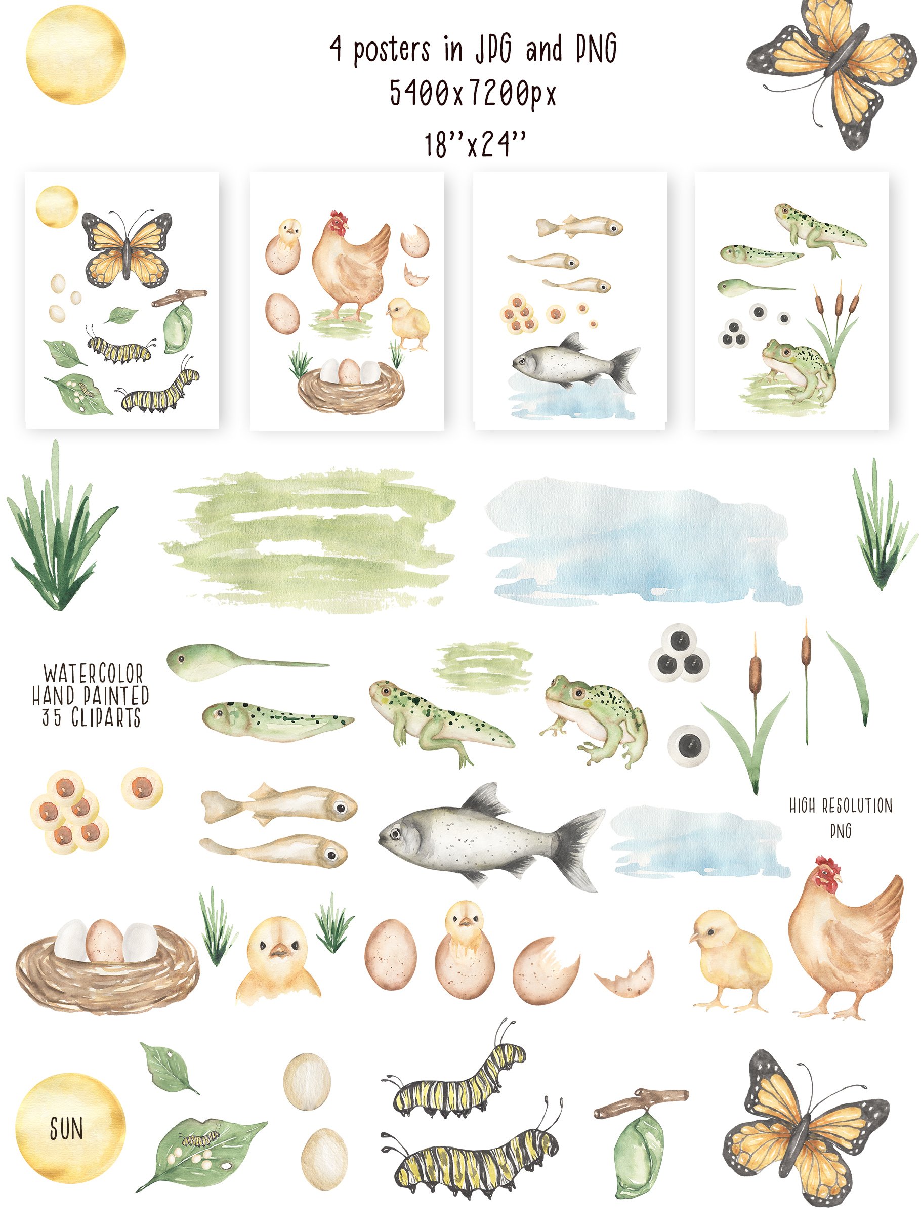 Watercolor Life Cycle Set Bundle (1124521)