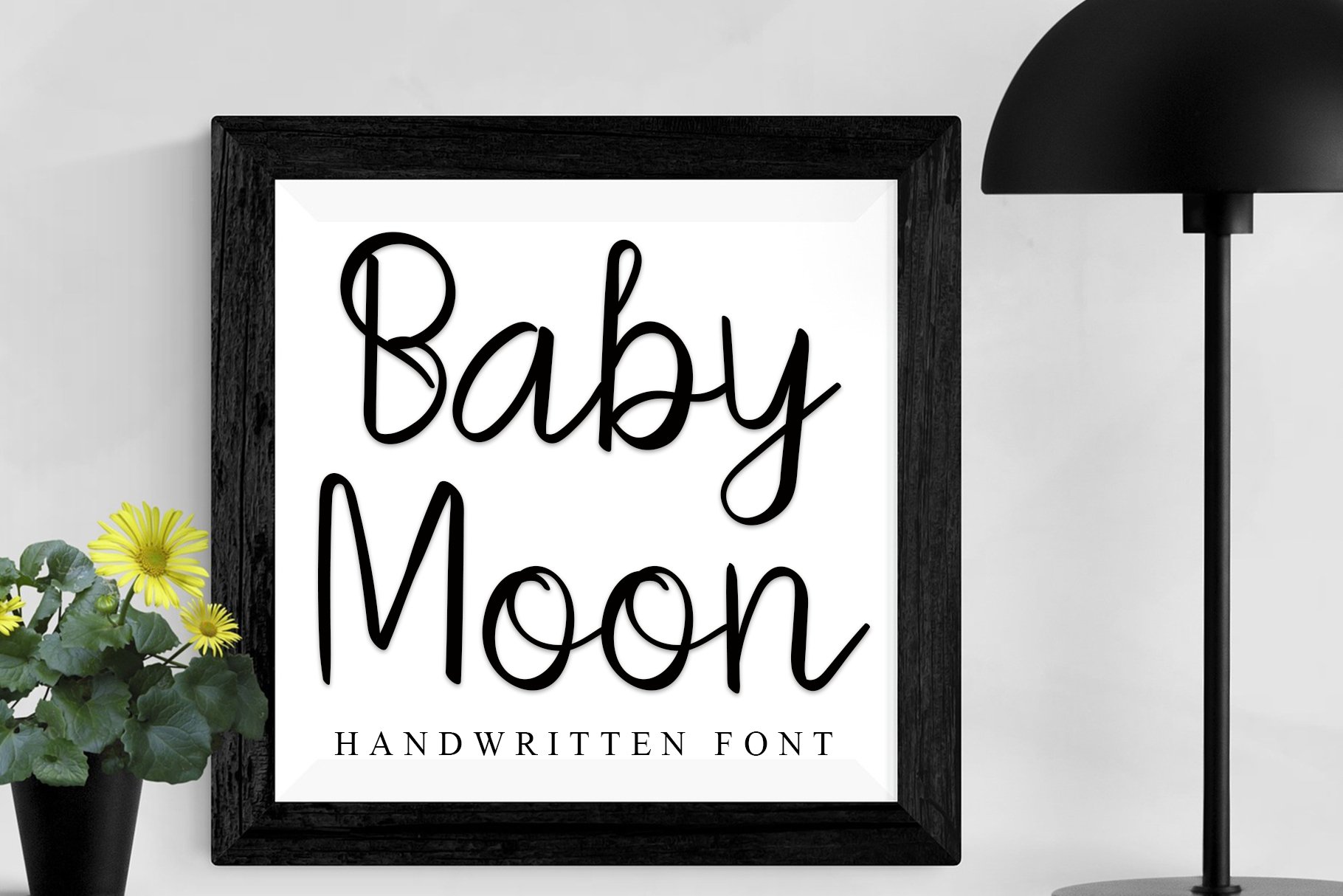 Baby Moon (1784328)