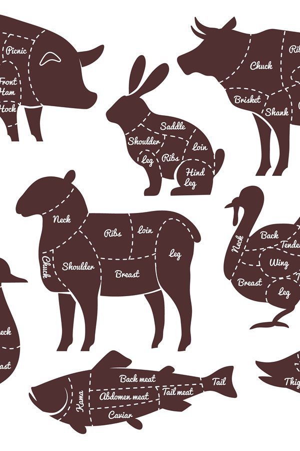 Butcher diagrams. Cutting lines different parts domestic far