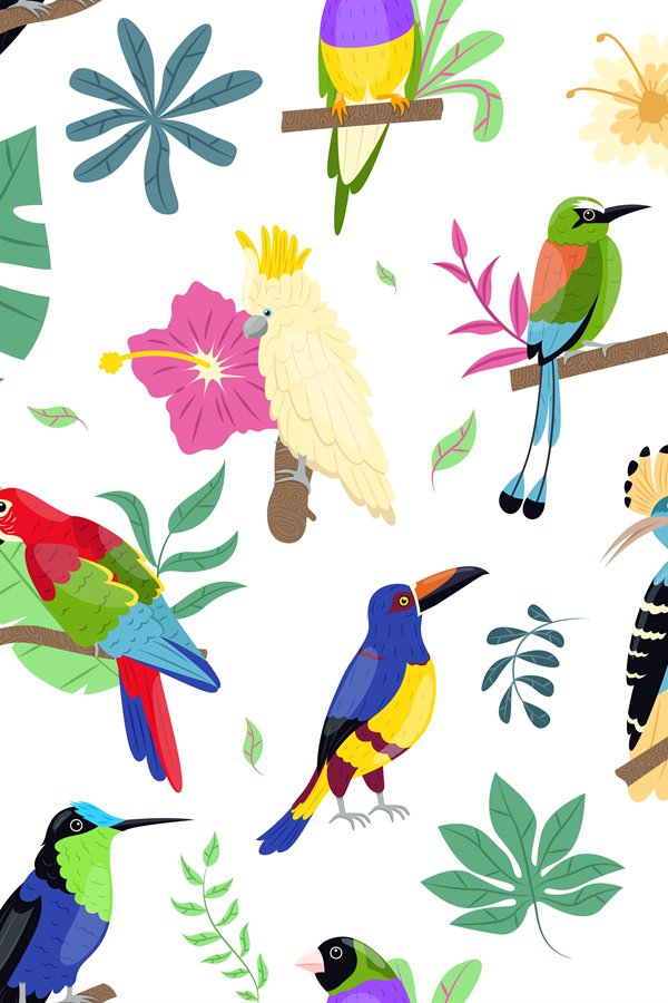 Seamless pattern exotic birds. Tropical flora and fauna, bri