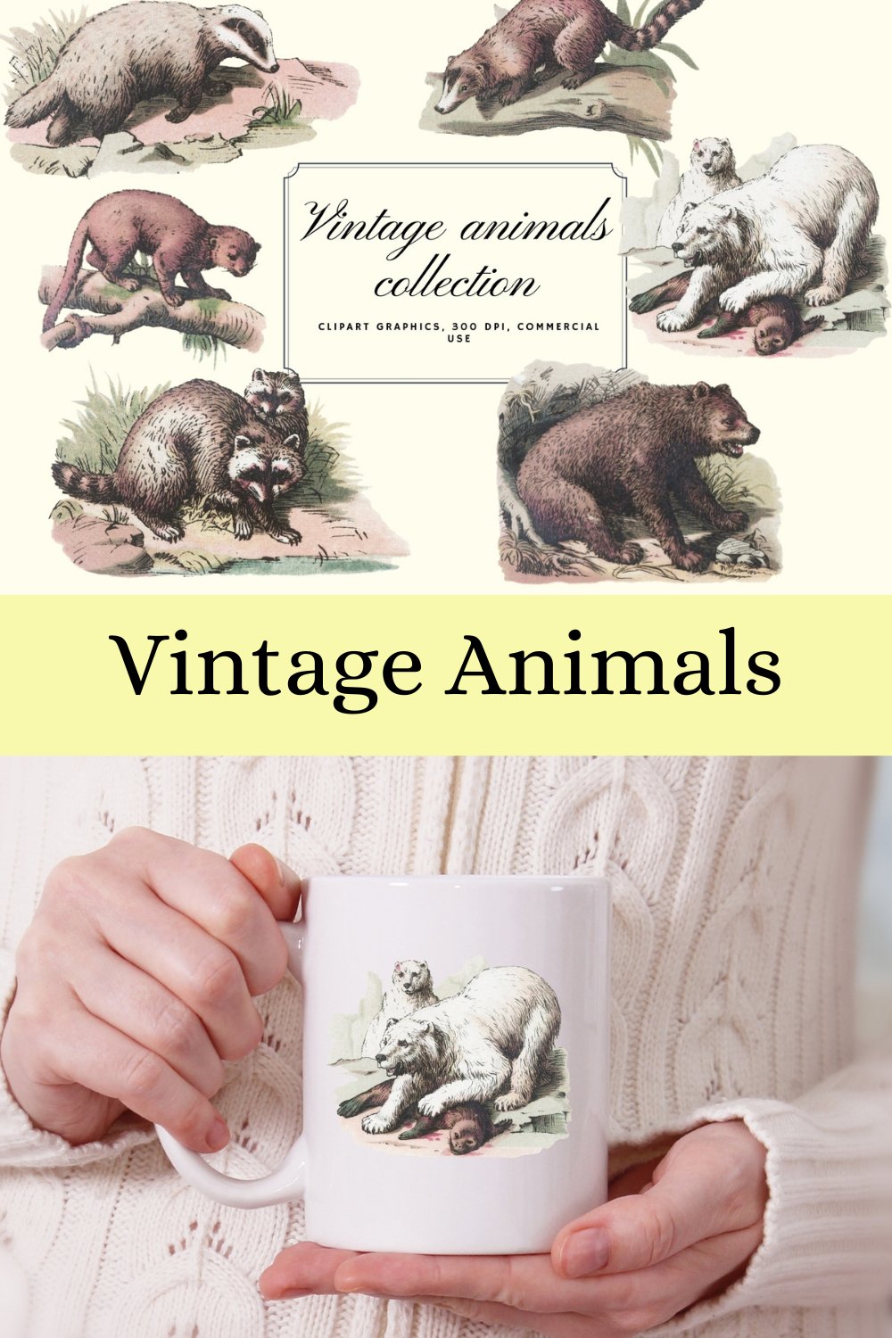 Natural History, Vintage Bear Clipart, Retro Animals