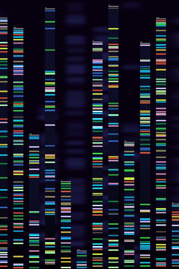 Genomic analysis visualization. Dna genomes sequencing, deox