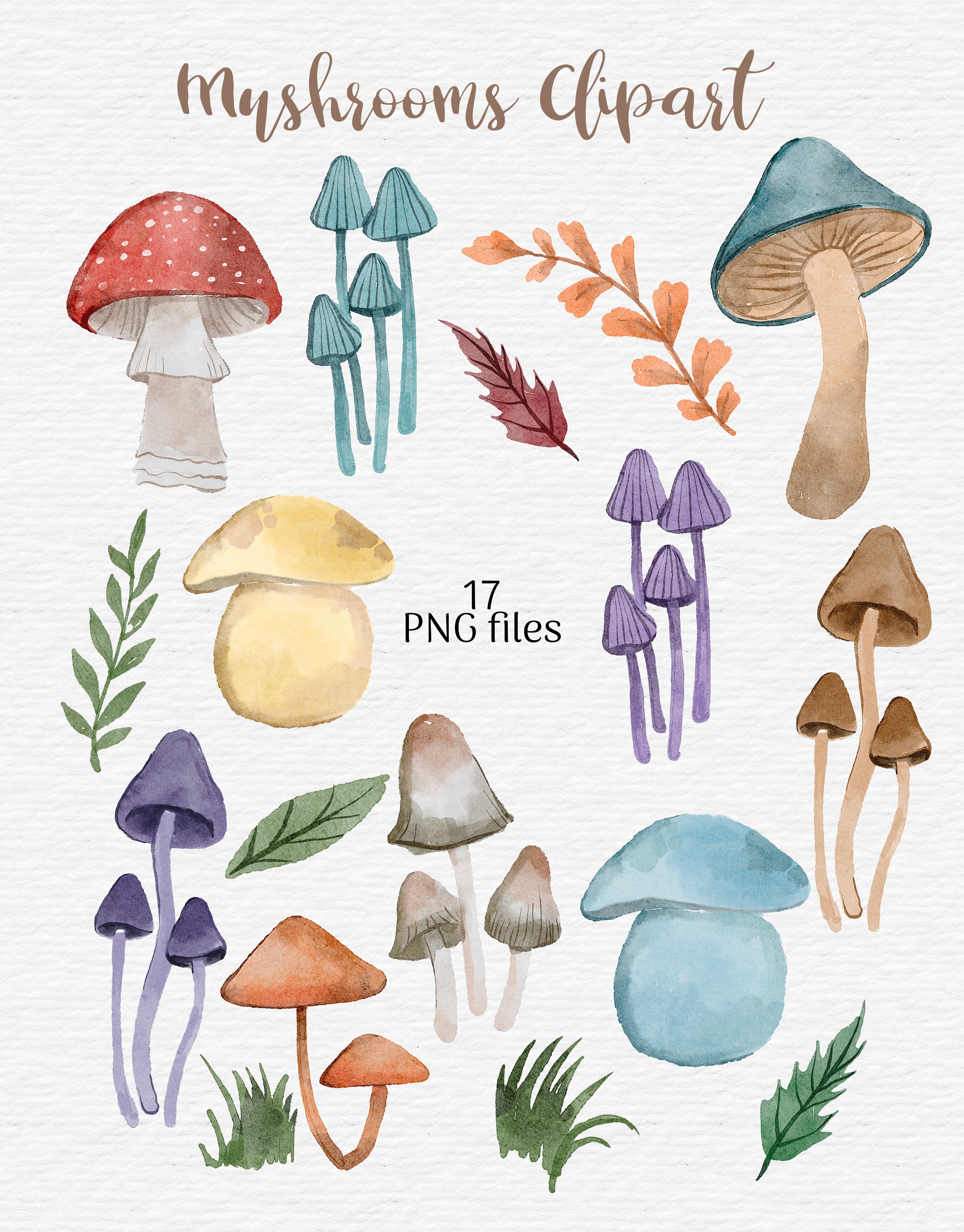 Watercolour Mushrooms Clipart, Fall Forest Fungus Clipart