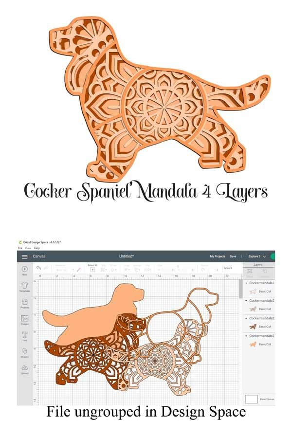 Cocker Spaniel Mandala
