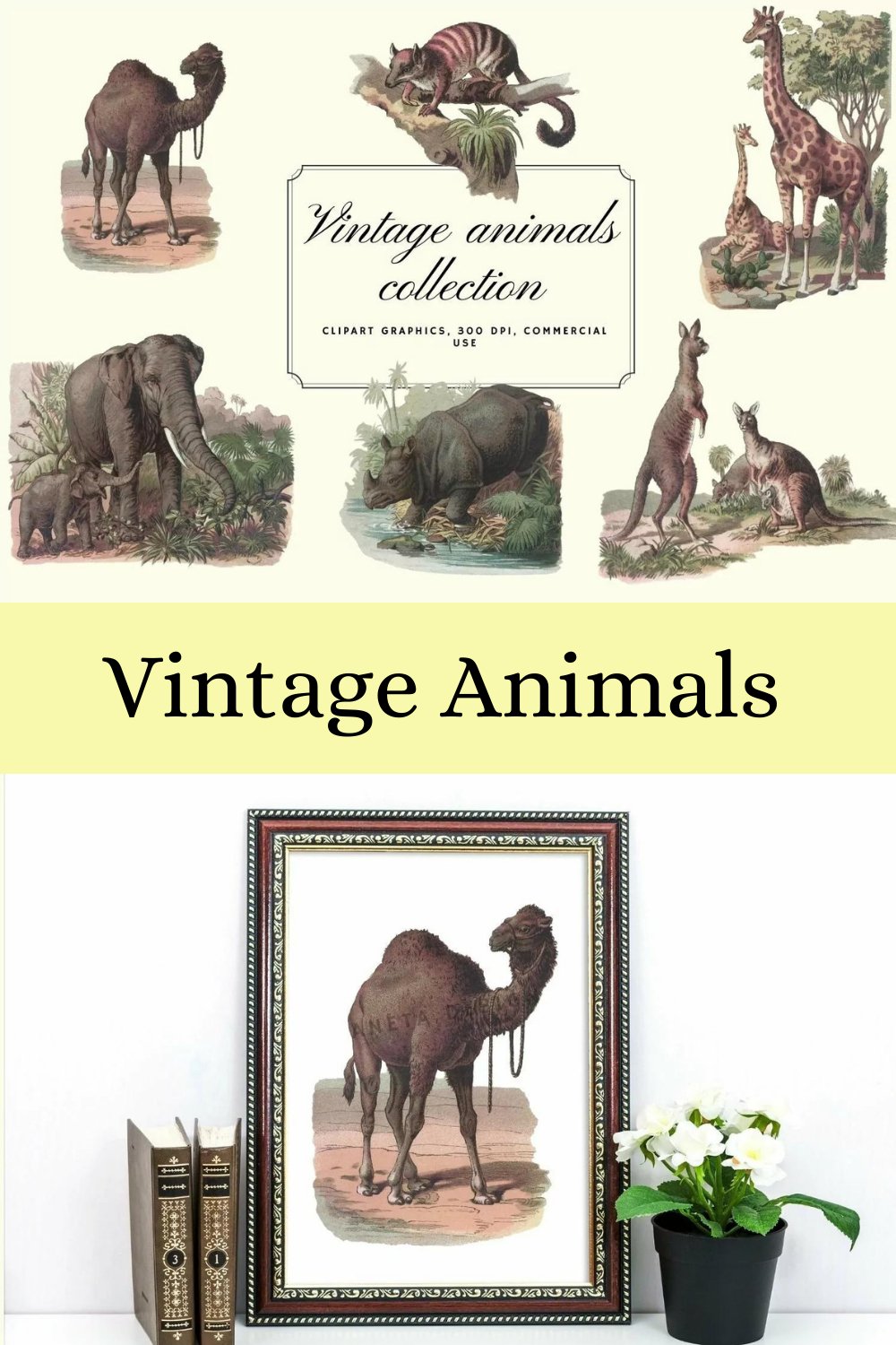 Vintage Elephant Clipart Graphics, Antique Giraffe Clipart