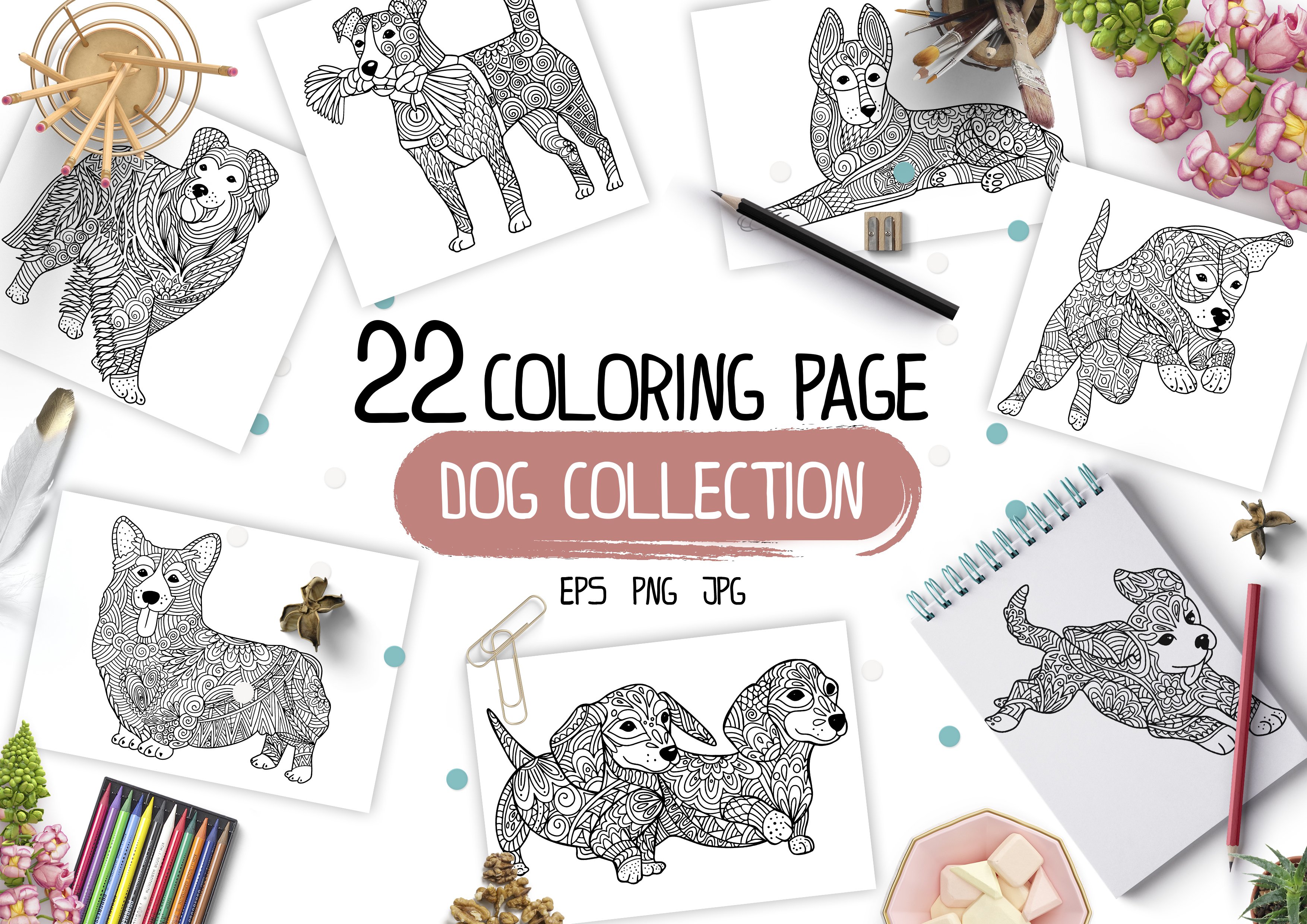 Dog Anti-stress coloring. Vector big set