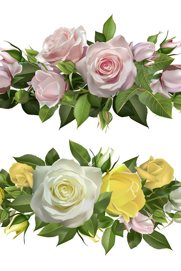 Rose flowers realistic borders. Flower decorative frame, ten