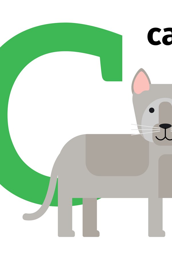 English animals zoo alphabet letter C