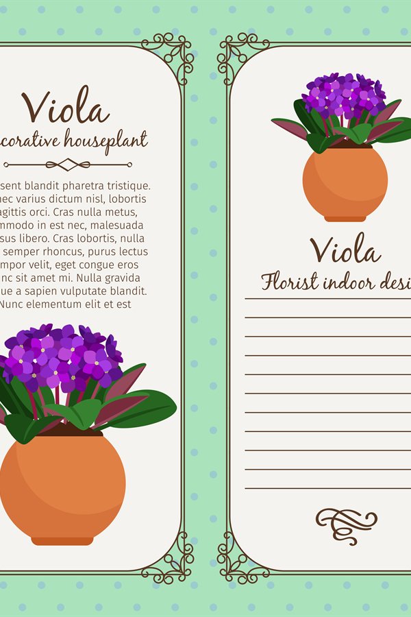 Vintage label with viola plant