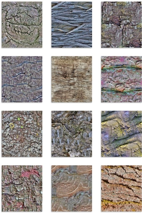12 seamless textures of tree bark - Vol 3