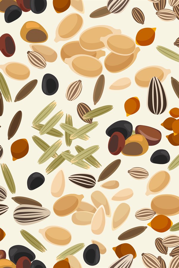 Different seeds colorful pattern