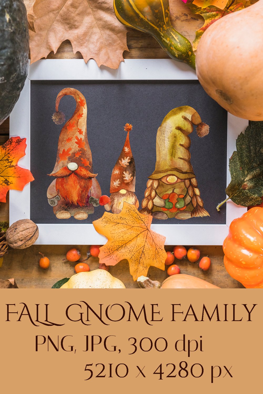 Fall gnomes. Gnome family. Watercolor gnomes