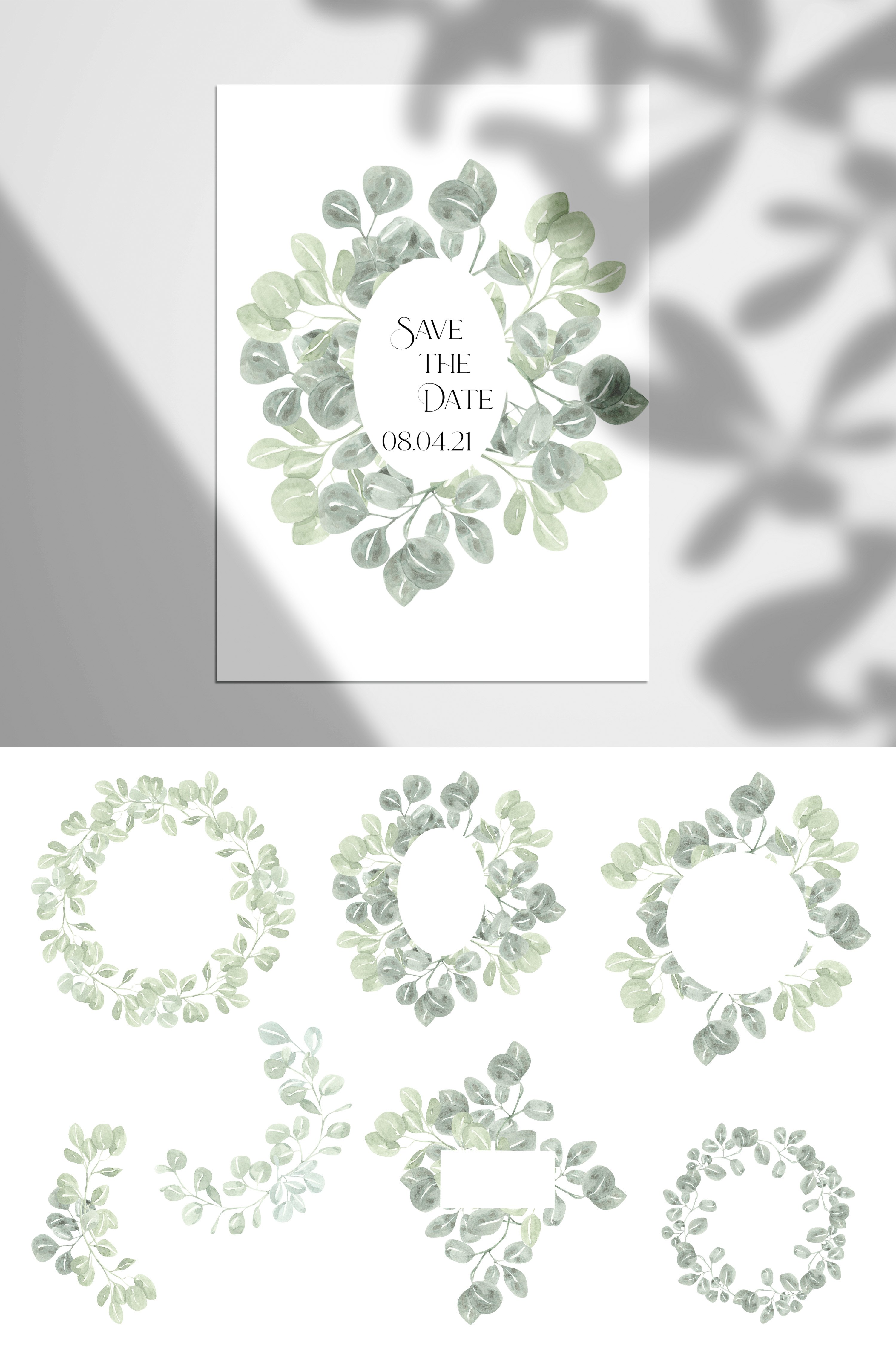 Eucalyptus bundle, watercolor eucalyptus (1304385)