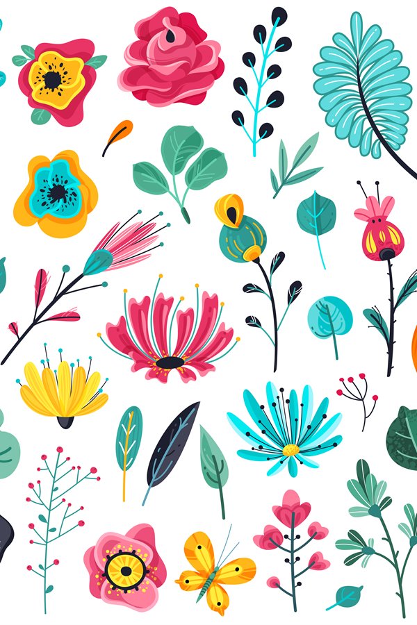 Summer flat flowers. Floral garden flowering plants, nature