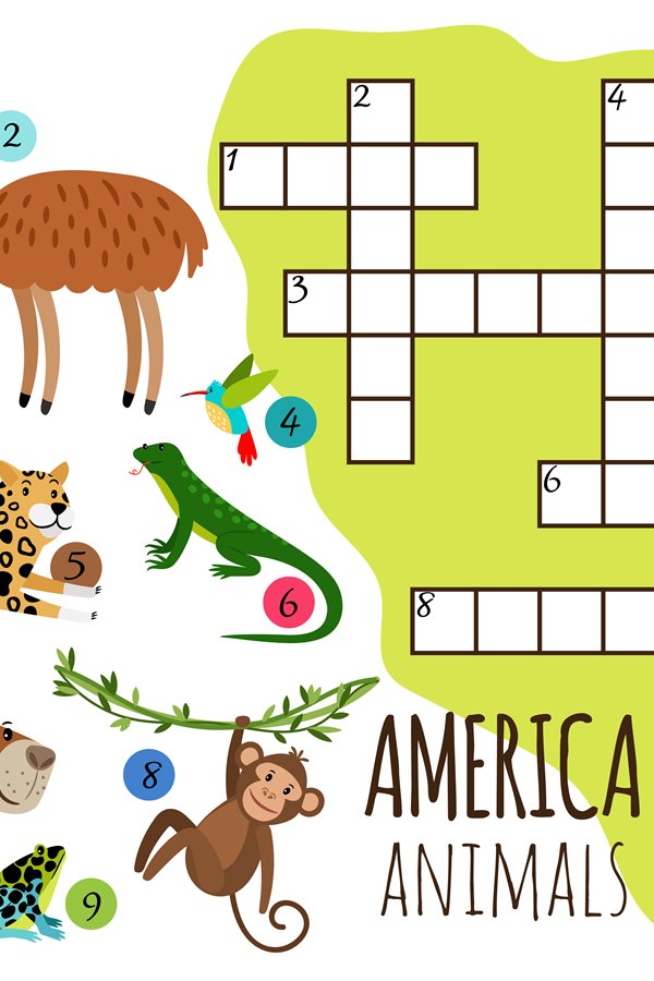 America animals set kids crossword vector illustration