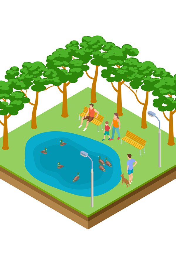 Isometric pond with ducks in the city park vector illustrati