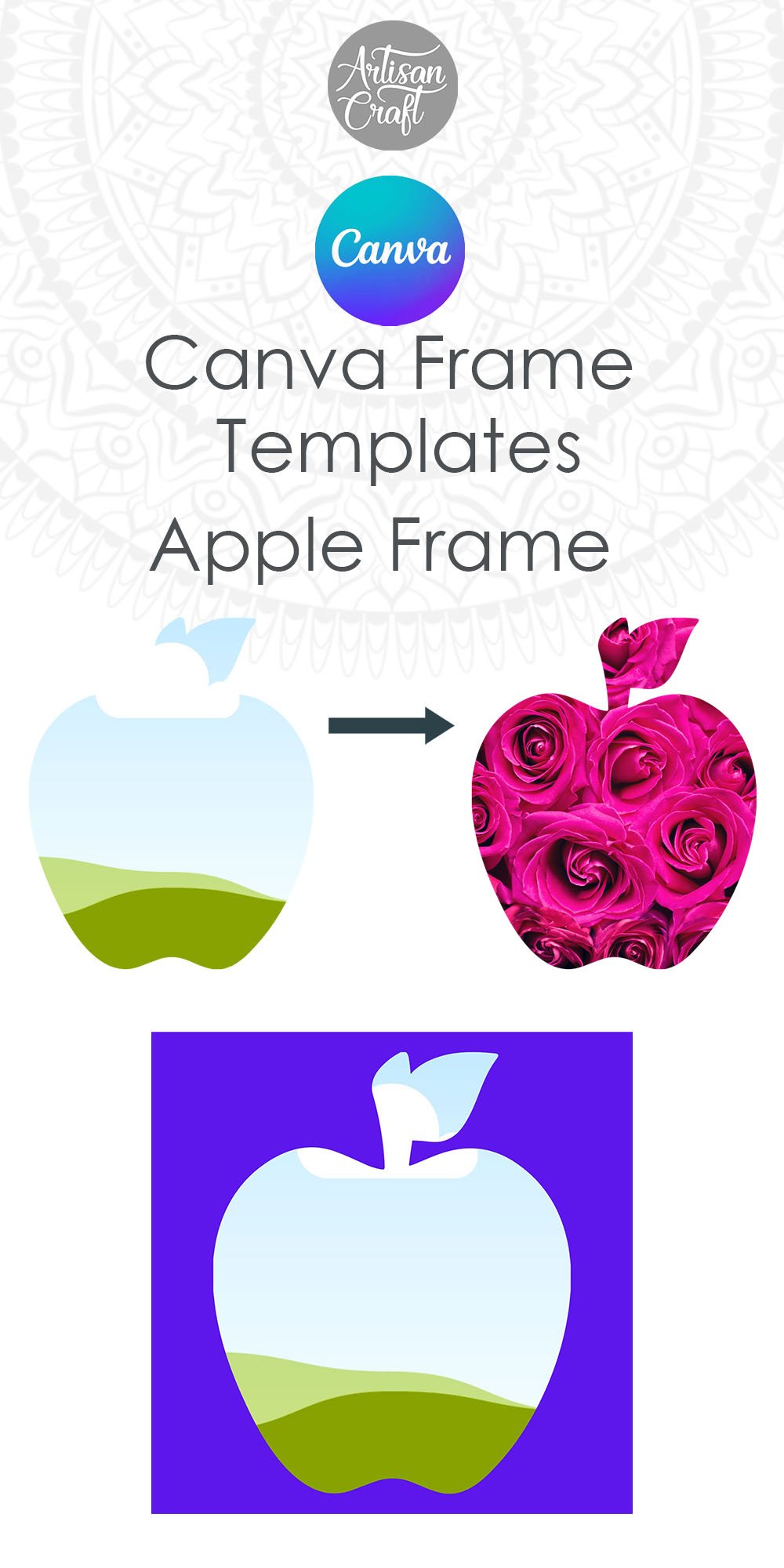 Apple Canva Frame | Editable Canva Frame