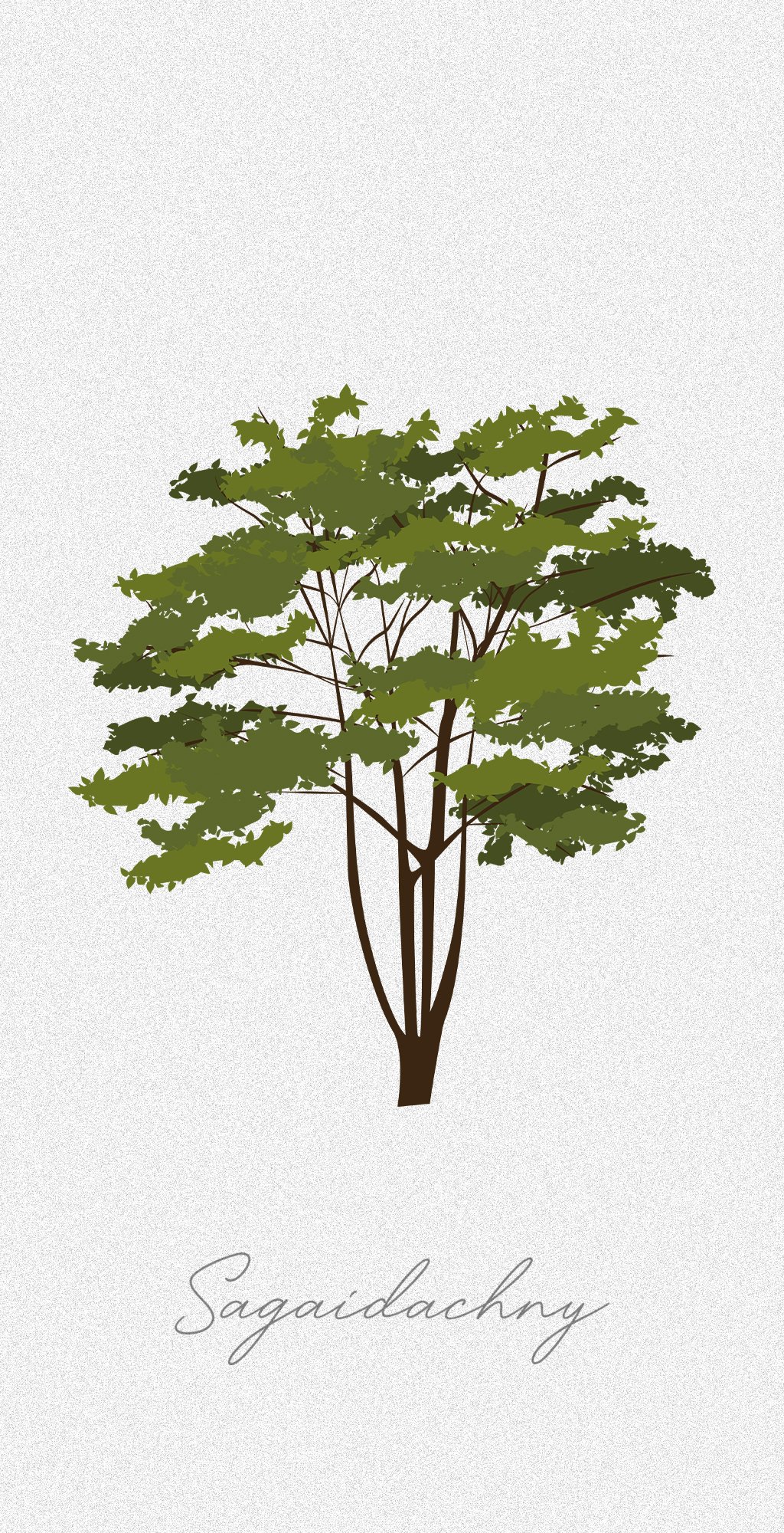 Vector flat trees Clipart - 8 plant illustration _PNG_SVG