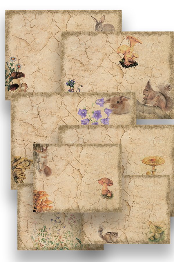 Digital Scrapbook Kit, Junk Journal Printable, (1093696)