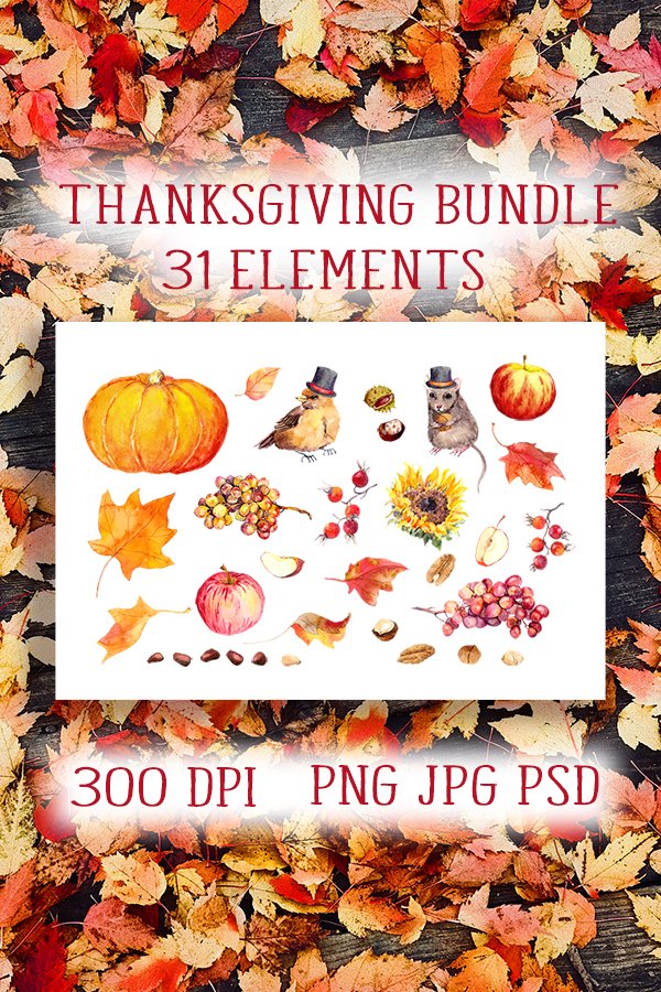 Thanksgiving bundle PNG. Watercolor autumn harvest clipart