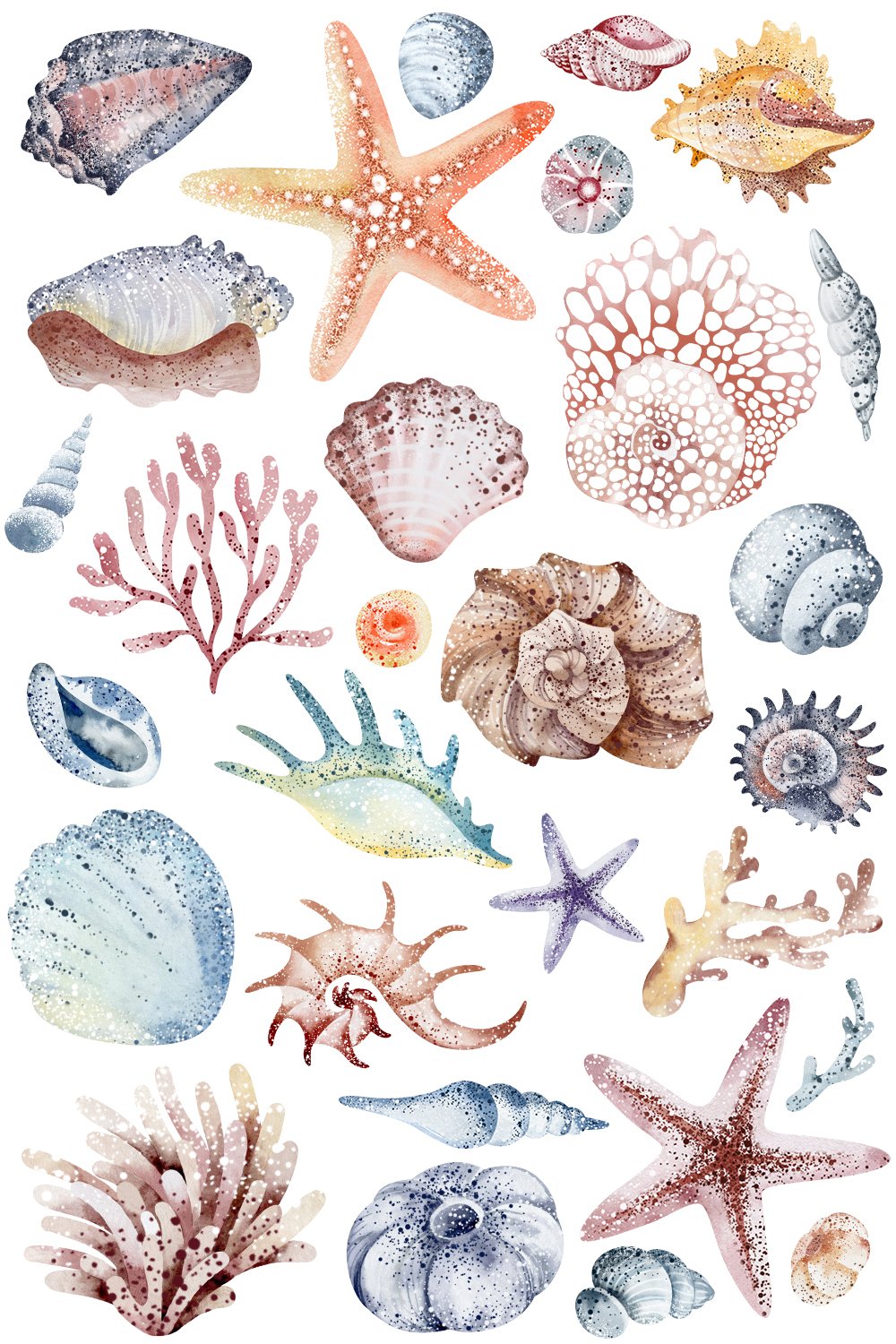 Watercolor set of SEASHELLS|46 PNG elements