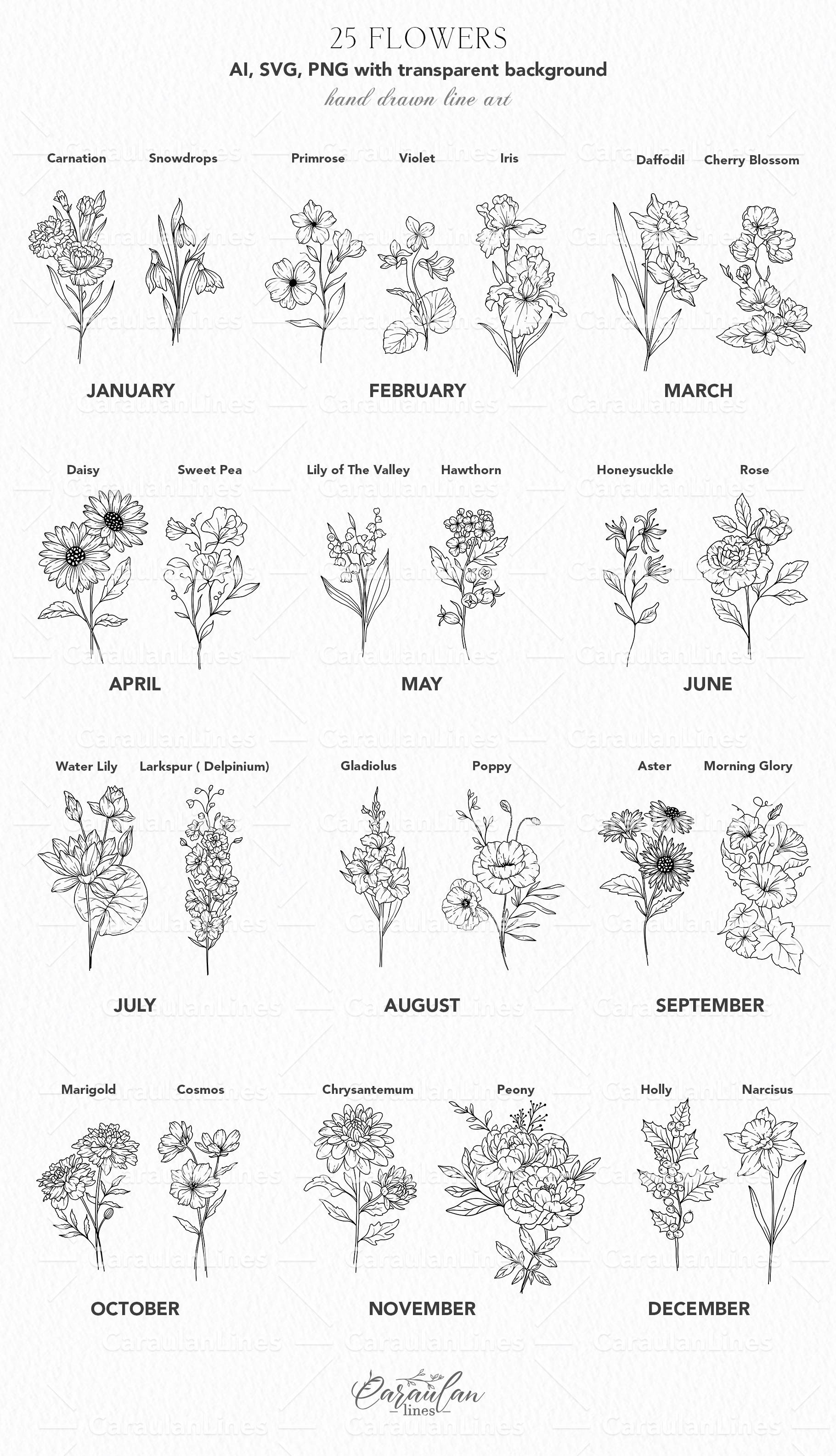 Birth Flowers Line Drawing, Birth Month Flowers SVG clipart
