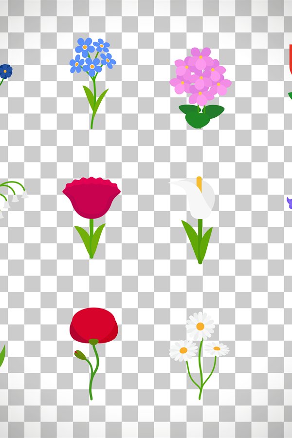 Spring flowers icons on transparent background