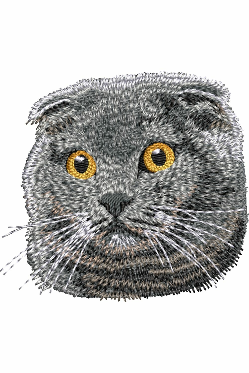 Scottish Fold Embroidery Fun Project