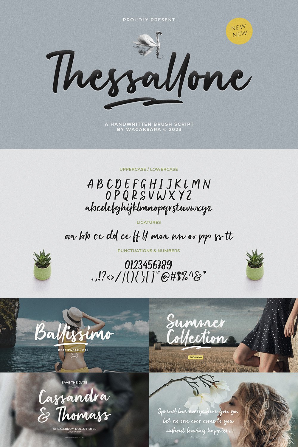 Thessallone - A Handwritten Script