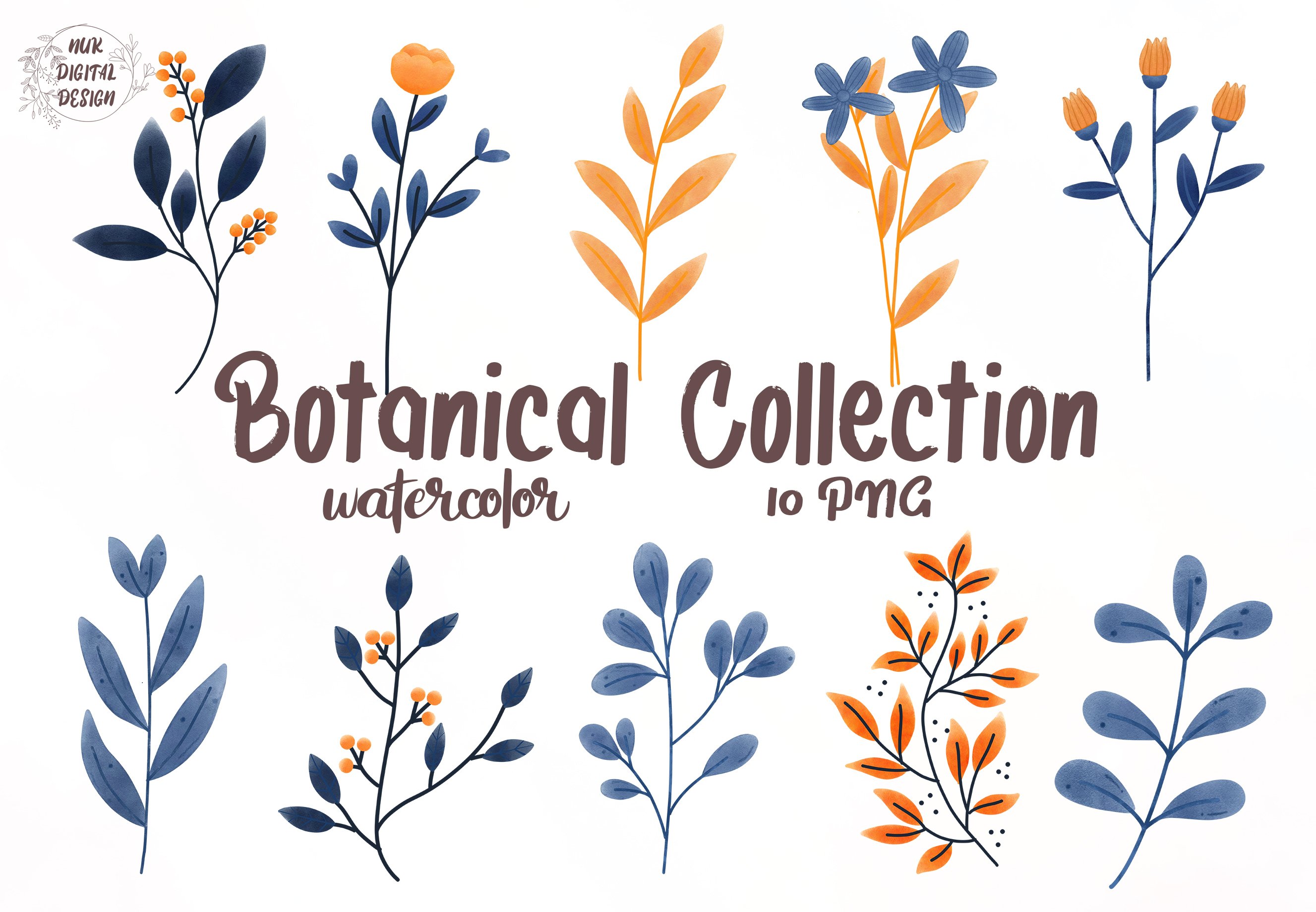 Watercolor Leave Botany clip art PNG