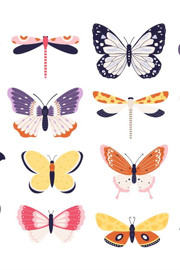 Cute butterflies. Decorative spring butterfly colorful wings