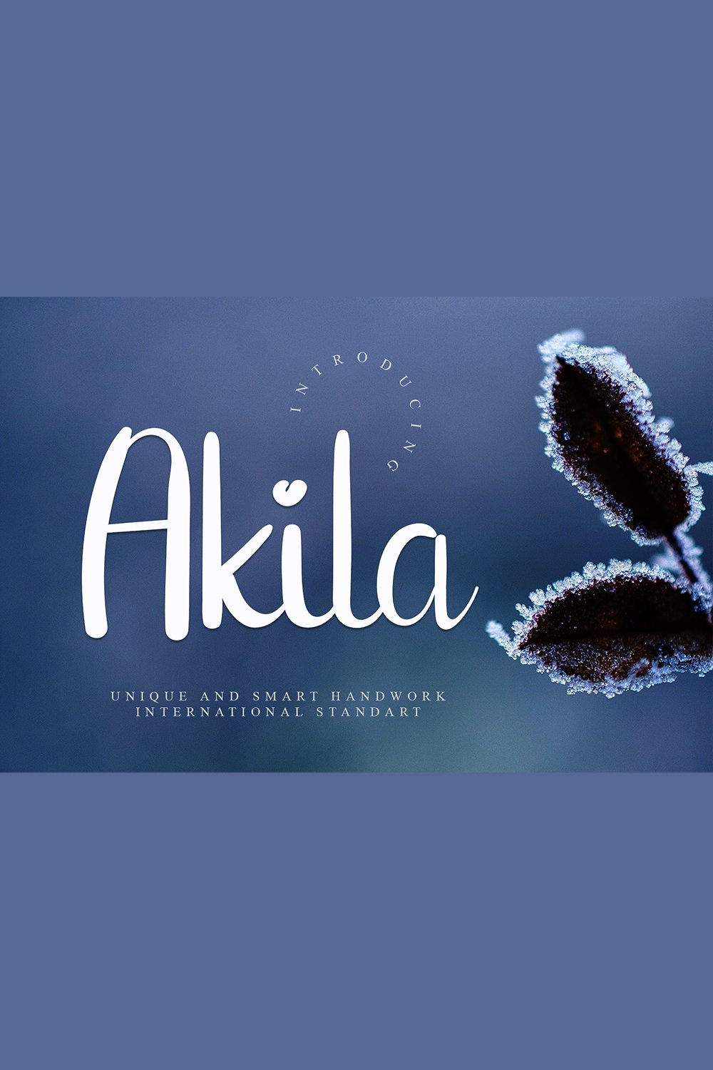Akila (2717404)