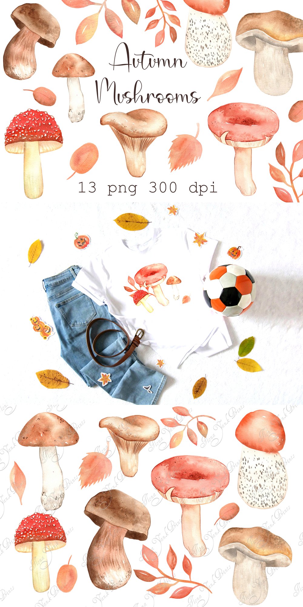 Watercolor mushrooms clipart Fall mushrooms illustration PNG