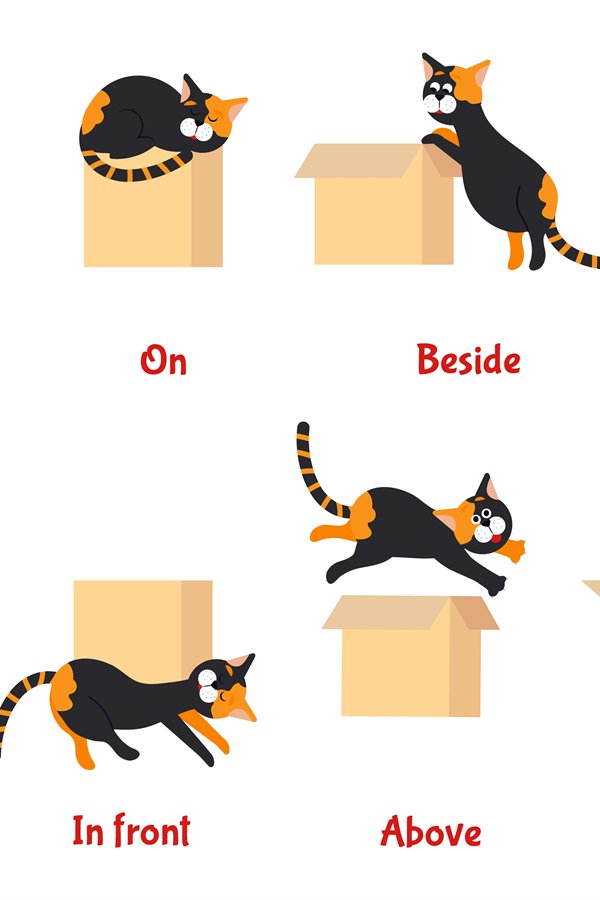 Preposition. Learning english prepositions with cute cat. Pr