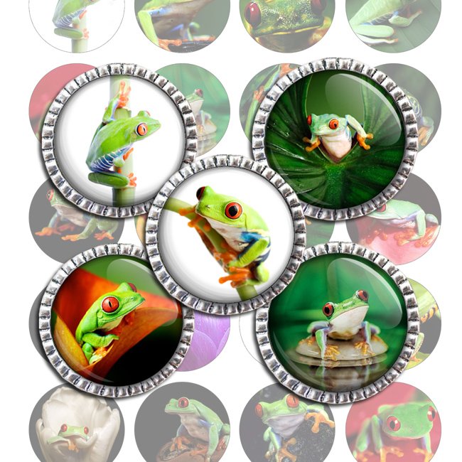 Frogs bottlecap images printable 1" 1.5" 20mm 30mm 18mm