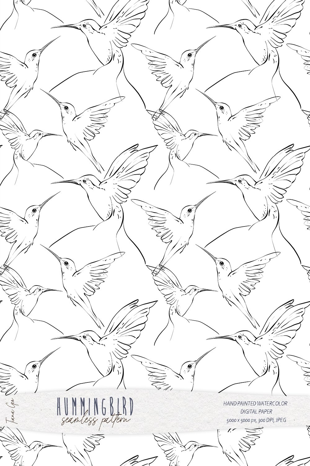 Line art hummingbird seamless pattern. Line drawing bird