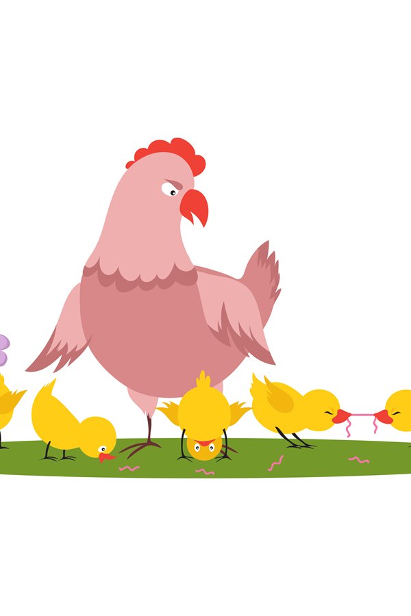 Cartoon character hen and little chickens in the meadow vect (1180558 ...