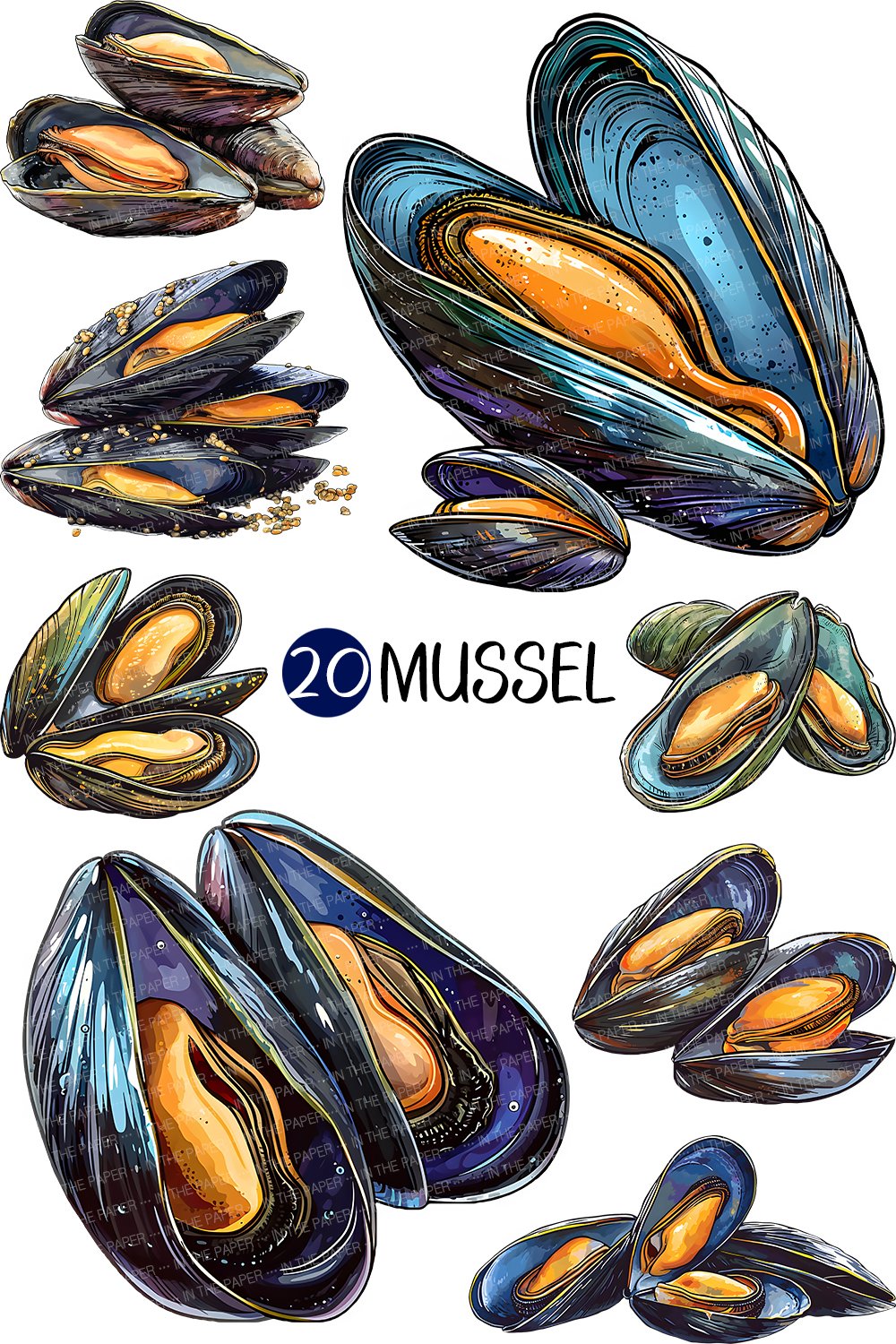 Mussels PNG | Seashell Clip art Under the sea Animal Seafood