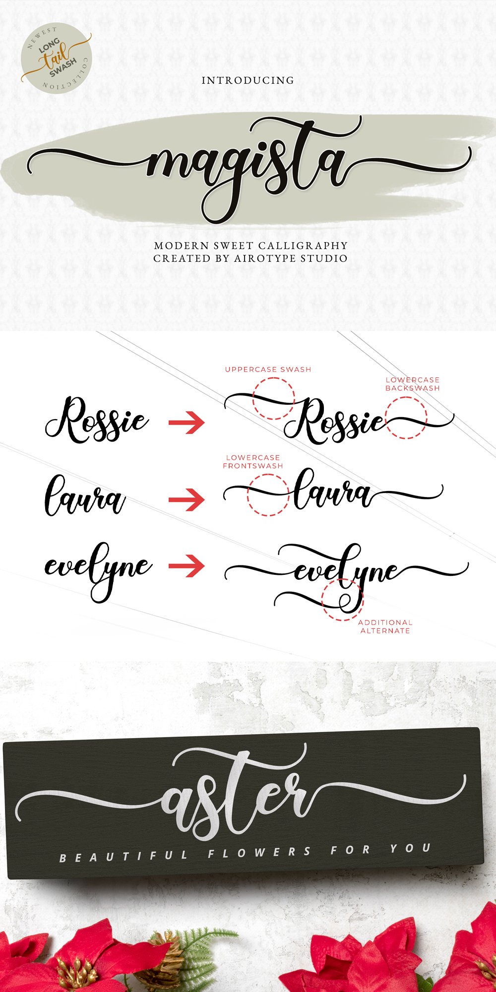 Magista - Long Tail Swash Calligraphy