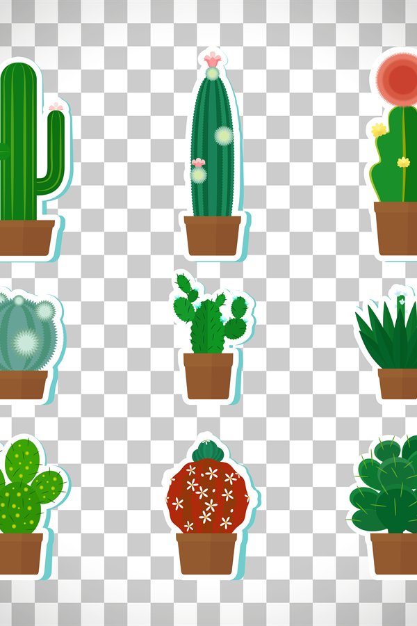 Cactus icons set on transparent background