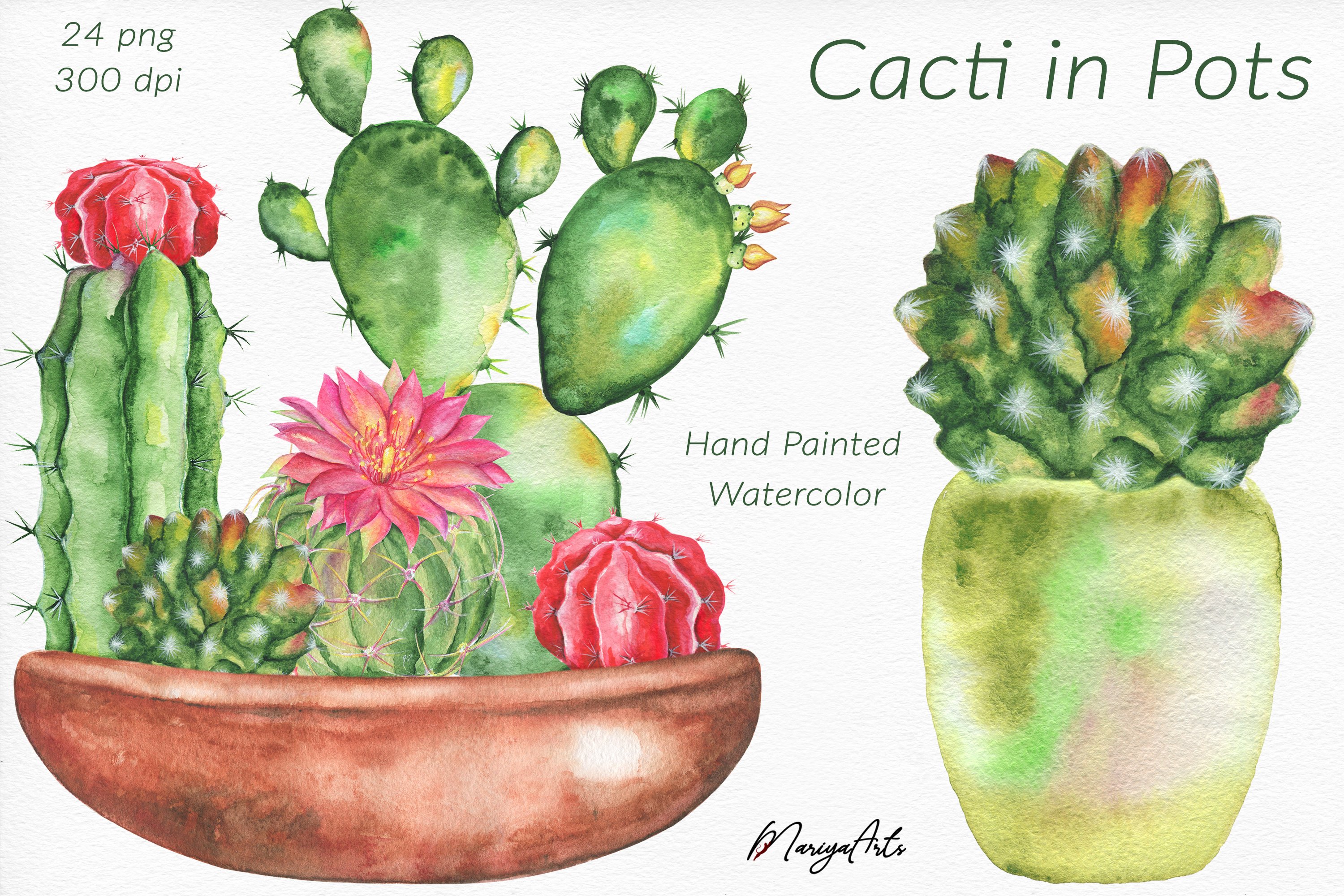 Cactus Potted Cacti Pots Watercolor Clipart (721466)