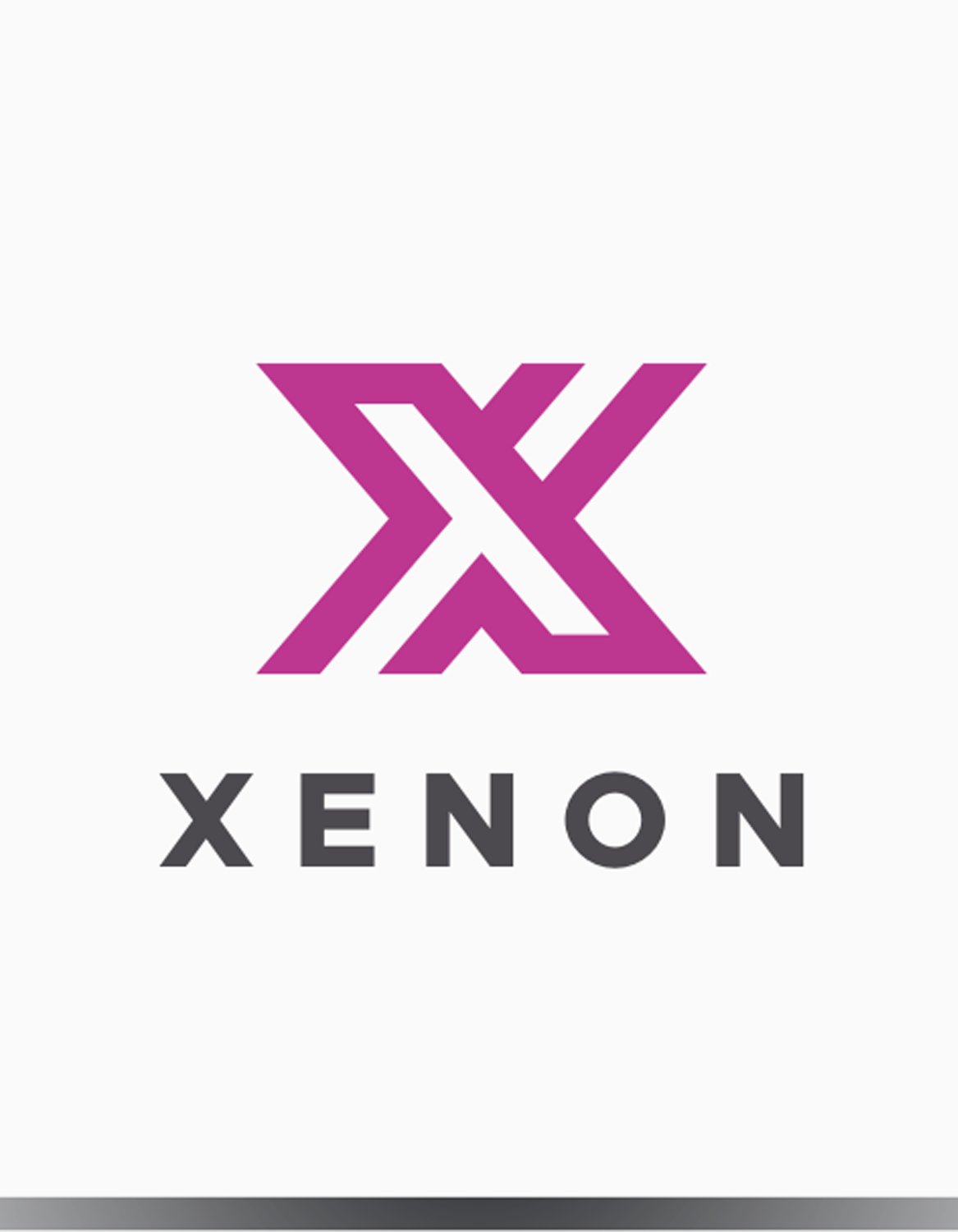 Xenon Letter X vector logo design template (3166415)