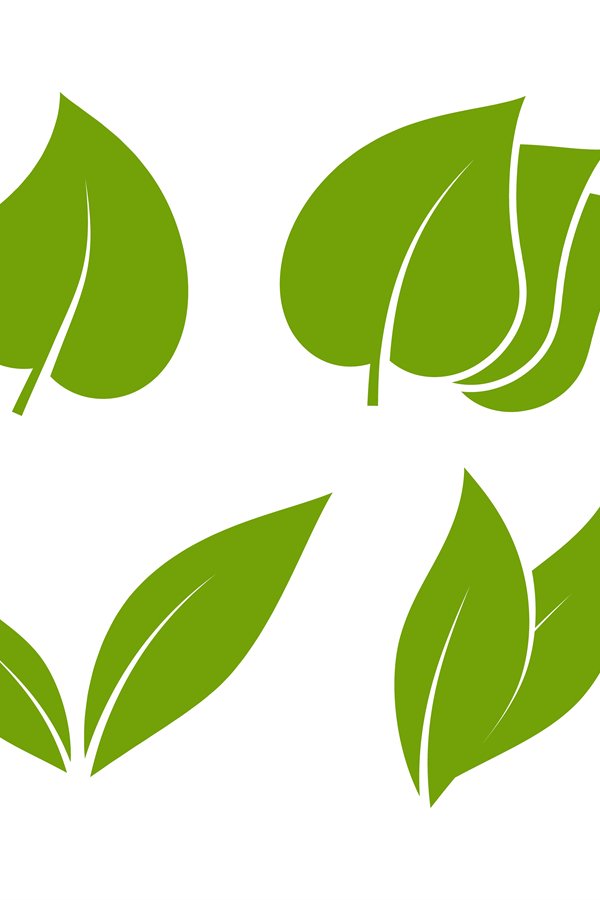 Leaves icons. Green plants various shapes, eco and bio label