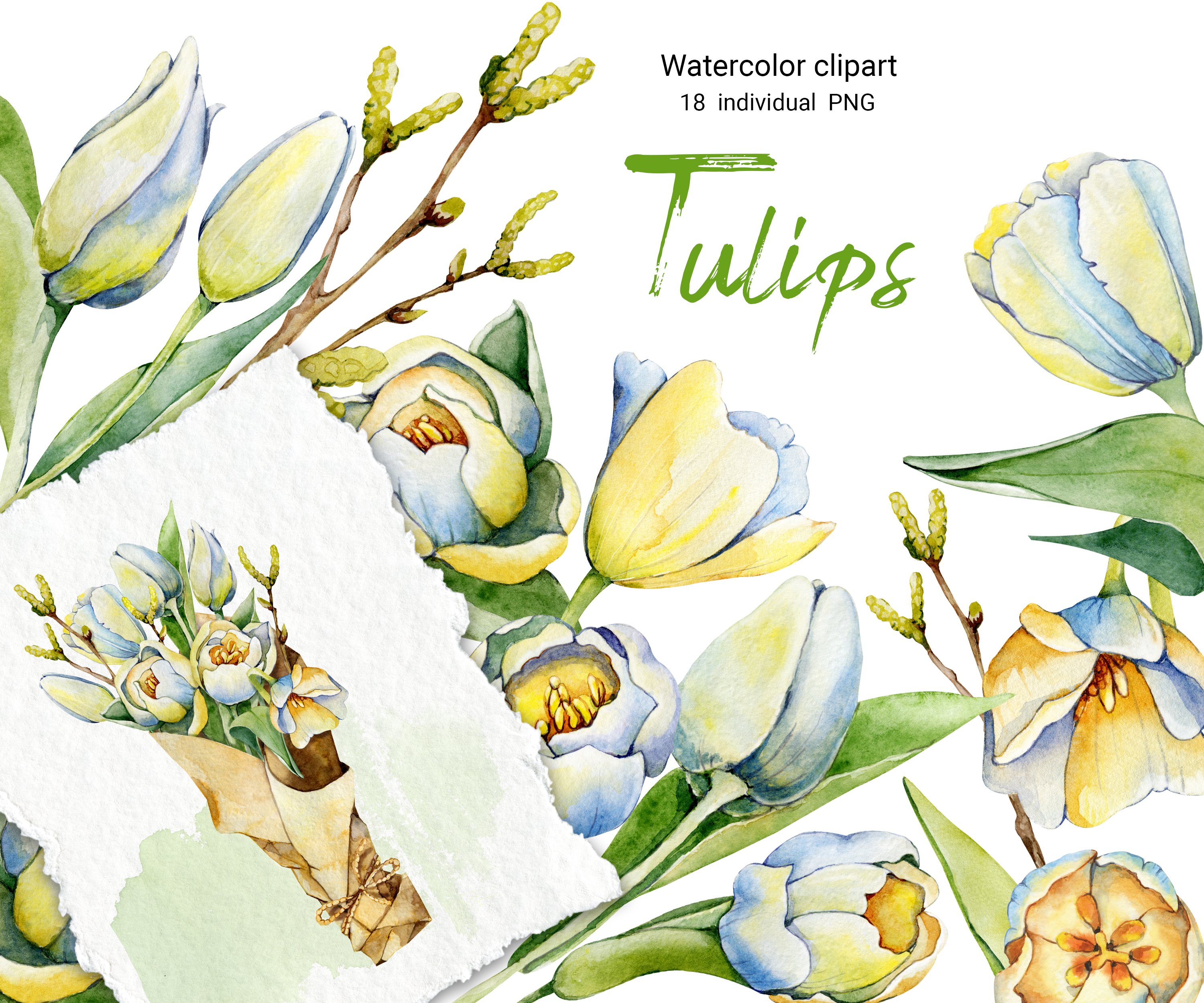White tulips, bouquet of spring flowers, watercolor clipart