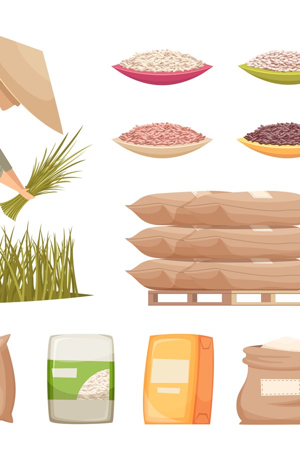Rice bags. Agricultural products brown and white rice transp