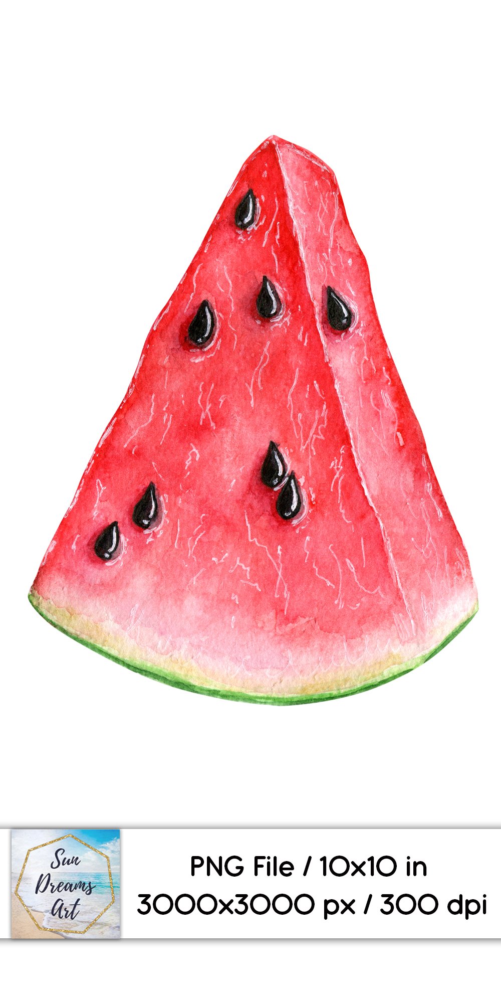 Watercolor watermelon slice single clipart instant download