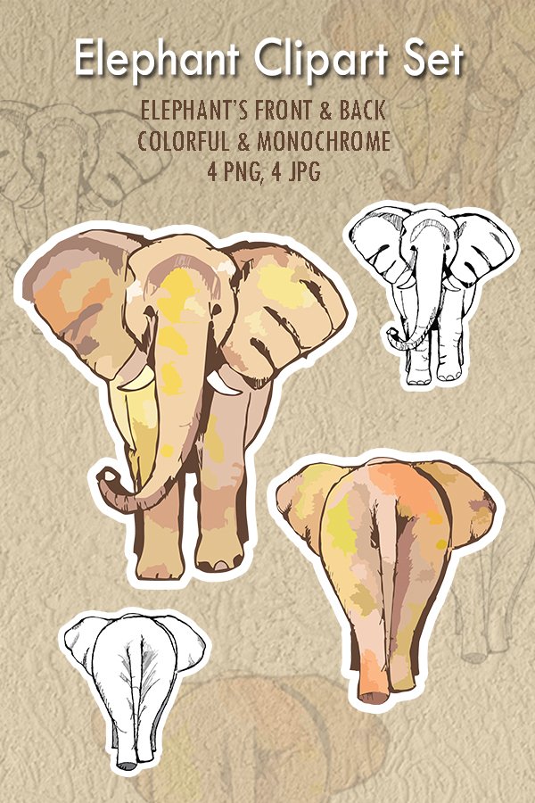Elephant Clipart Set