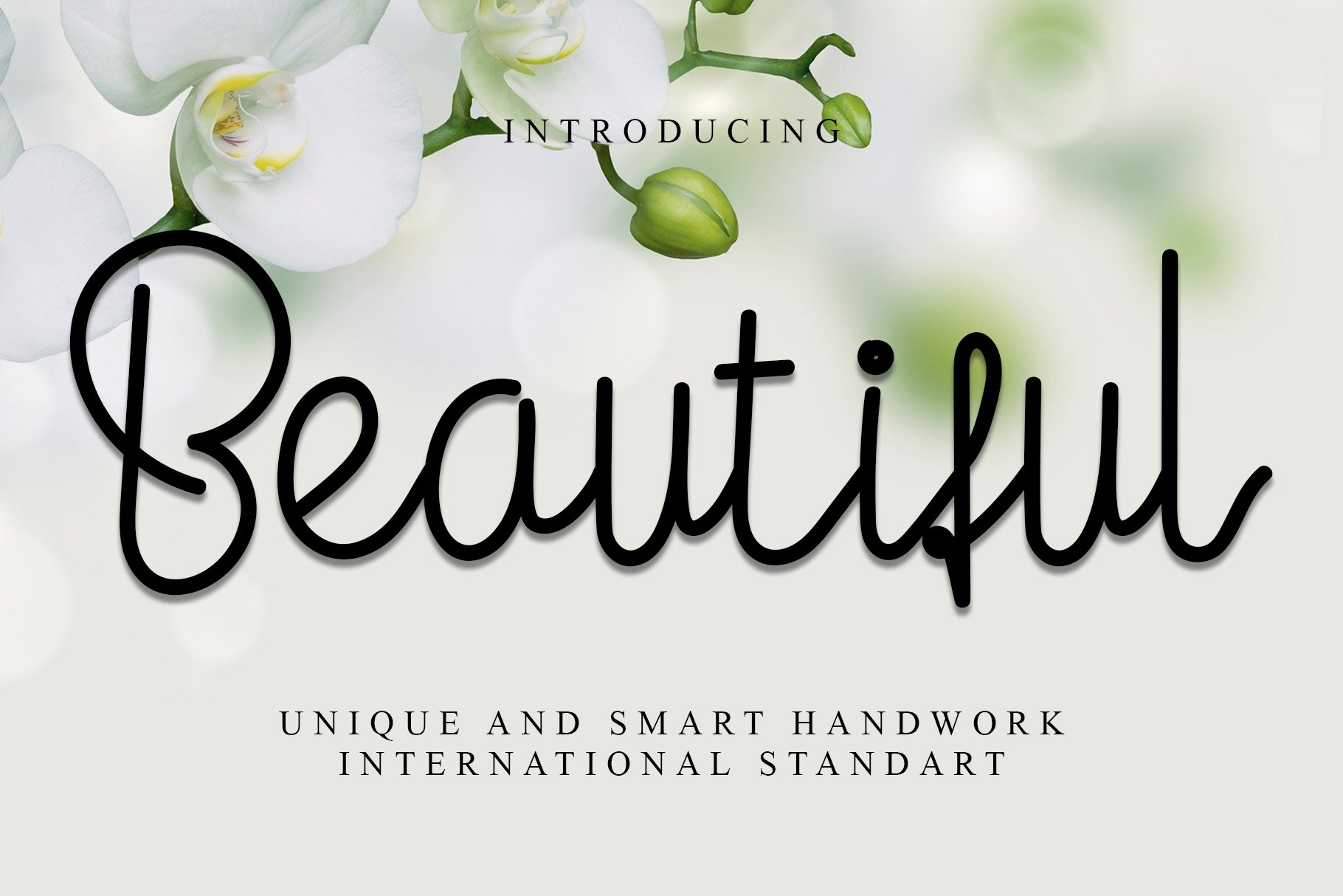 Beautiful Script (1784008)