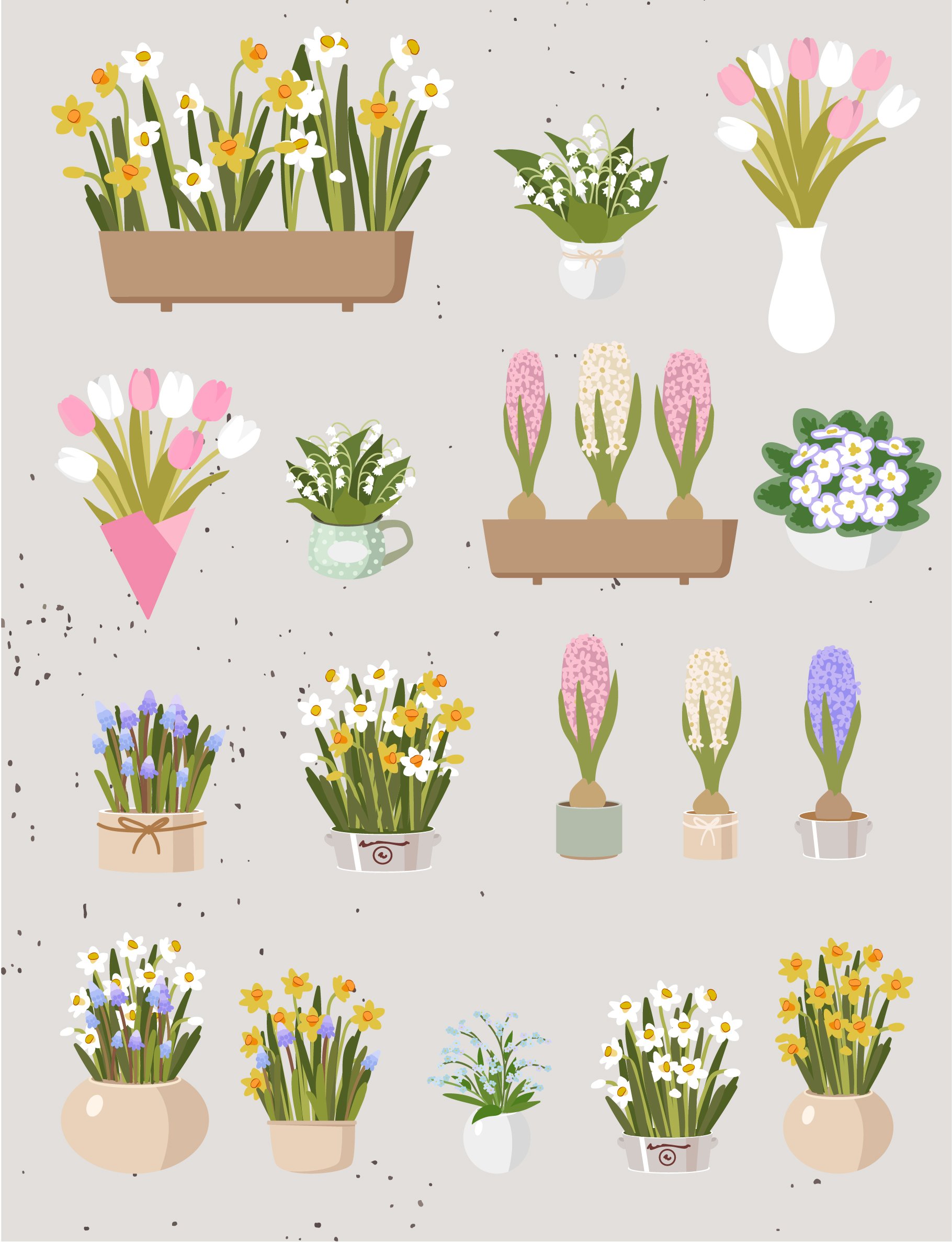 Spring Indoor Plants | Part 3